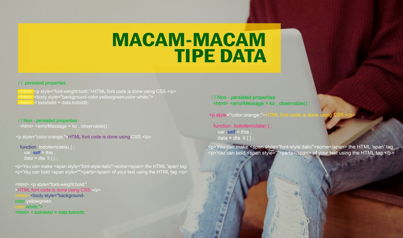 JENIS JENIS TIPE DATA PEMROGRAMAN BESERTA FUNGSINYA